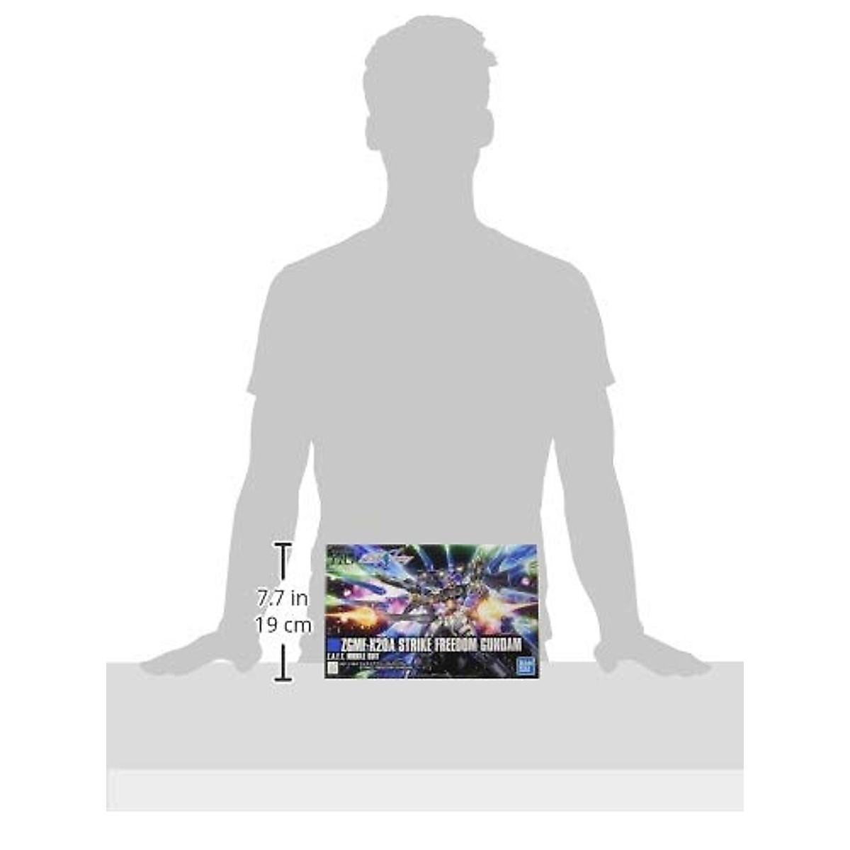 Hg 1/144 Strike Freedom Gundam