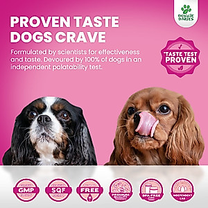 Doggie Dailies Skin & Coat Supplement + Antioxidant Support, 225 Soft Chews, Salmon Oil for Dogs Skin and Coat with Collagen, Omega 3, Krill Oil, Biotin, & Coconut Oil for Dogs (Salmon)