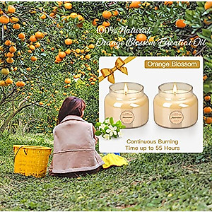 3 Pack Scented Candles Gifts for Women, Amber Retro Aromatherapy Candles for Home Scented, Christmas Gifts Set Soy Wax Lavender Candle for Birthday Valentine Holiday