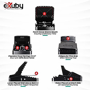 eXuby Large Powerful Rat Traps (4 Pack) - Kills Instantly with Powerful Steel Spring - Setup in Seconds - Wash & Reuse Over & Over - Hands Free Disposal - Rat Control Without Harmful Poisons or Chem