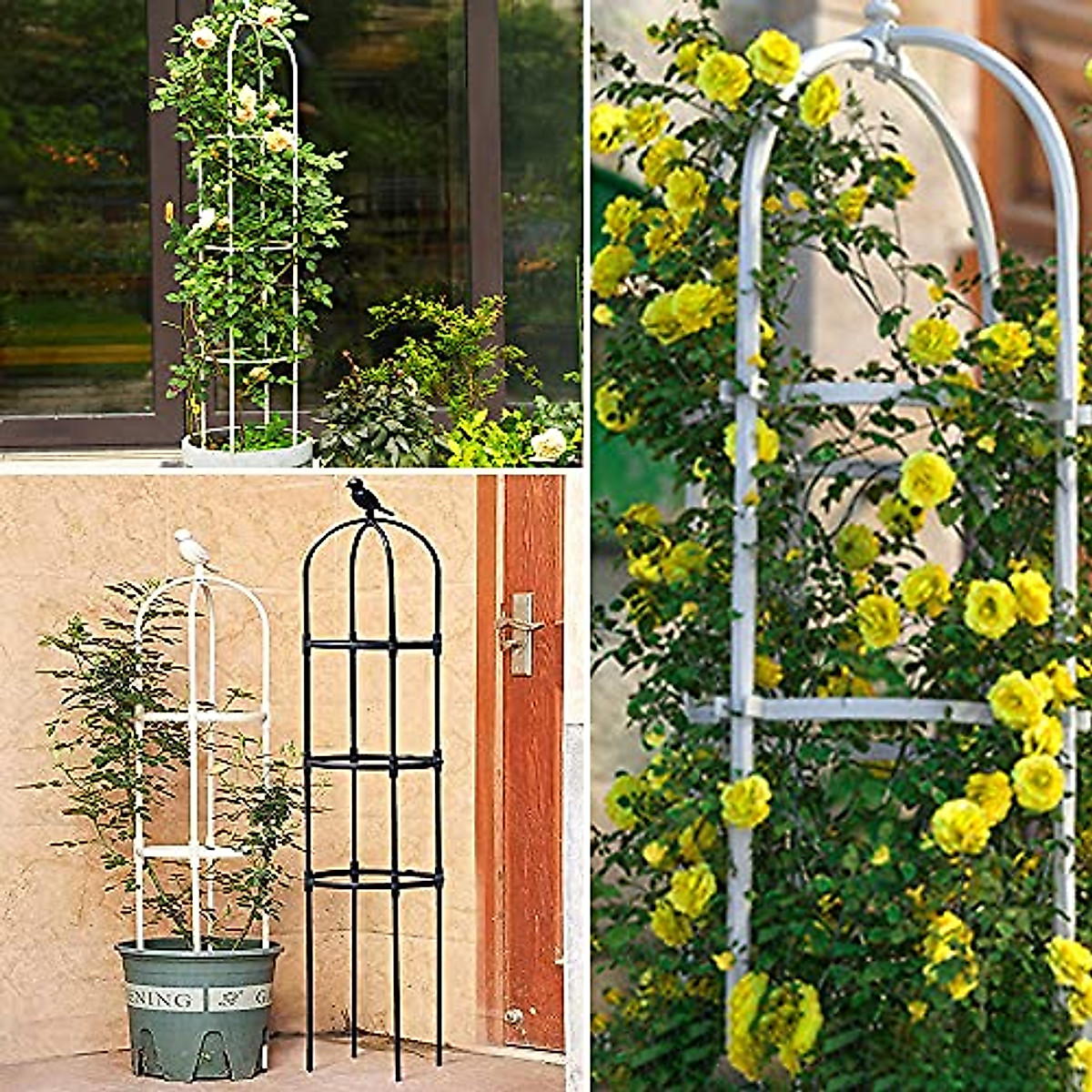 Garden Trellis for Climbing Plants, Rustproof Metal Pipe with Heavy Duty 6ft, Garden Outdoor Indoor Potted Plant Support（White）…