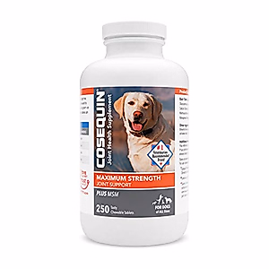 Nutramax Cosequin Maximum Strength Joint Health Supplement for Dogs - With Glucosamine, Chondroitin, and MSM, 250 Chewable Tablets