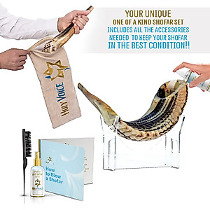 Handcrafted Kosher Ram Shofar from Israel, 20"-22" – Musical Horn, Cleaning Brush, Anti Odor Spray, shofar stand & Shofar Bag – Decorative, Jewish Gifts for Women & Men by Holy Voice