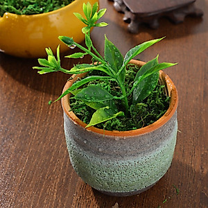 Veemoon 3 Packs of Artificial Moss Dried Moss Fake Lichen Plants for Home Fairy Garden Patio Decoration- Dark Green 60g/ Pack