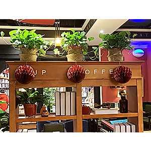 40th Birthday Decorations for Women Fall Burgundy Rose Gold 40th Birthday Party Supplies Polka Dot Fans 40th Birthday Balloons Burgundy Rose Gold 40 Birthday Decorations Fall