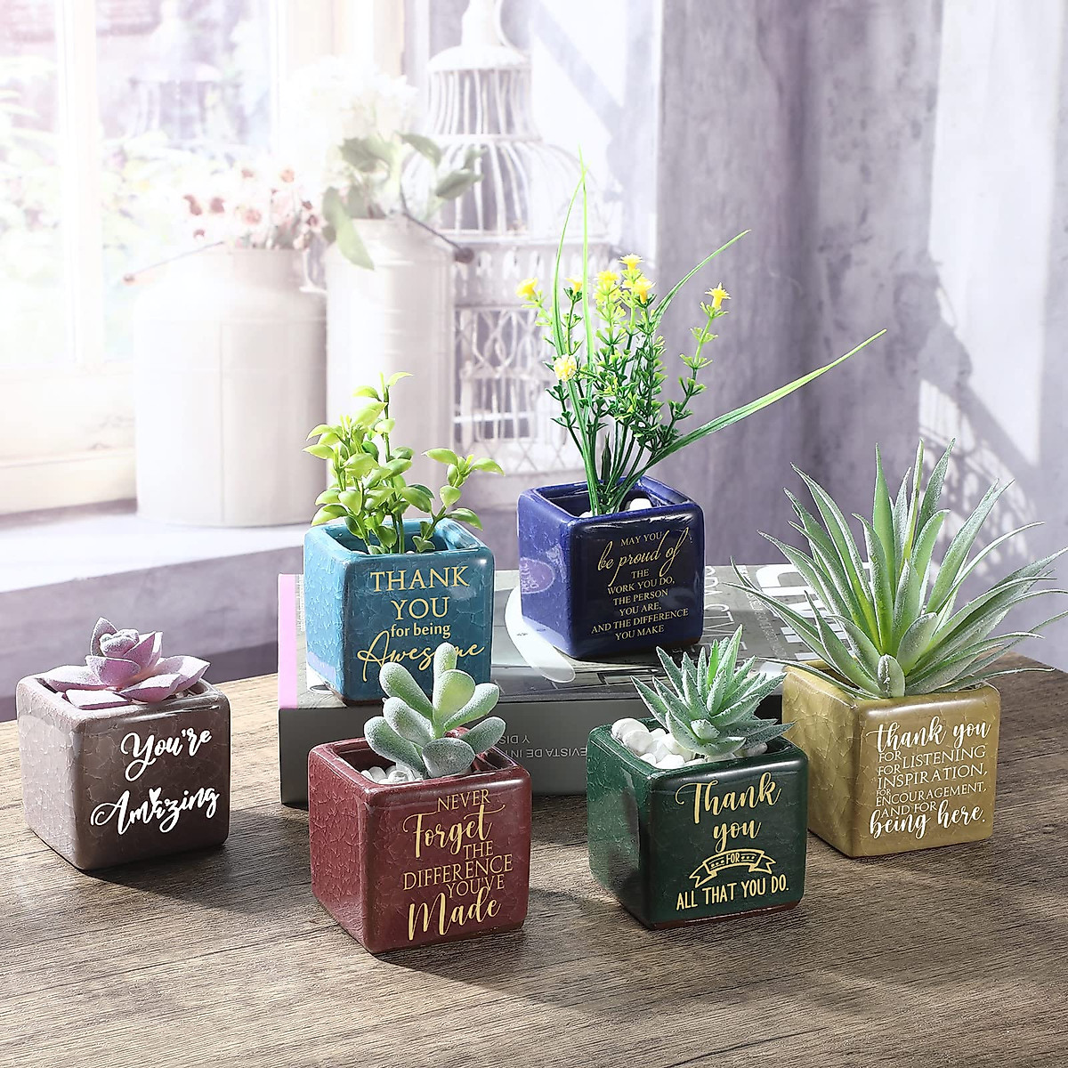 Sieral 6 Pcs Teacher Plant Gifts Thank You for Helping Me Grow Gifts Succulent Pots Appreciation Gifts for Employee Volunteer Ceramic Plant Pots with Drainage Holes, Plants Not Included(2.56 Inch)