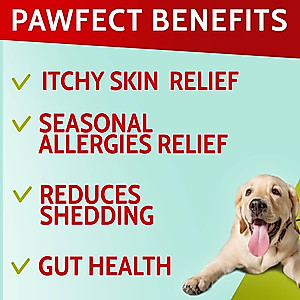 Pawfect Dog Allergy Relief Chews - Anti-Itch Skin Coat Supplement - Itchy Skin Relief Treatment Pills w/ Omega 3 Fish Oil - Itching & Paw Licking - Dry Skin & Hot Spots - 120 Immune Treats - Bacon