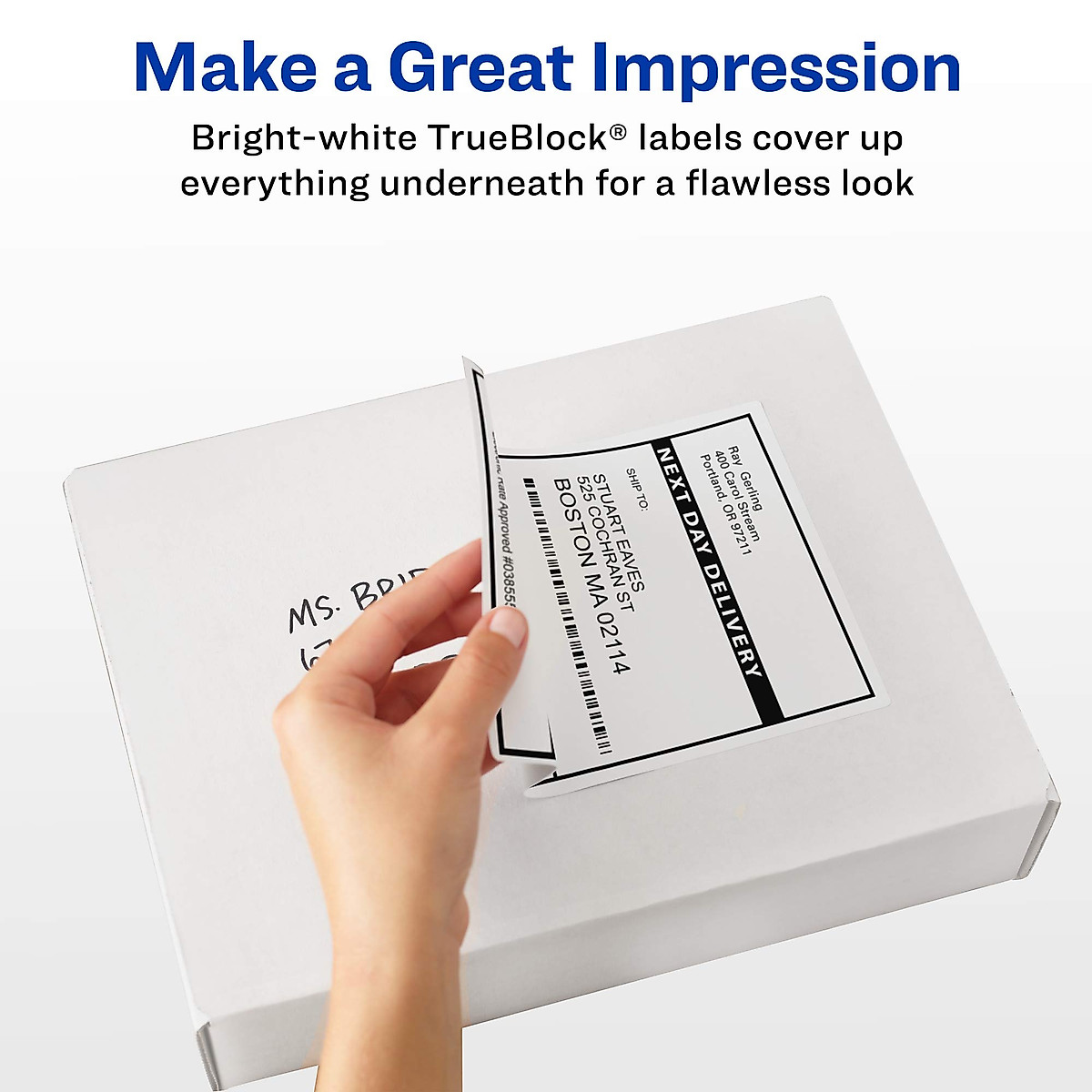 Avery Shipping Address Labels, Laser & Inkjet Printers, 60 Labels, 3-1/3x4 Labels, Permanent Adhesive (15264)