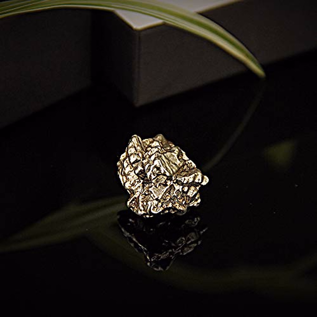 Large Massive 10-330 Grams Meteorite Specimen, Campo Del Cielo Meteorite with Gift Box, Moon Rock Sample, Astronomy Gifts for Space Fans, Great for Science Classrooms, Rocks Collection