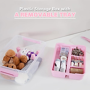 2-Pack Craft Organizers and Storage Boxes, 20 QT Playdoh storage box with Frosted Lid & Removable Tray, Pink Multi-Purpose Organizer for Toys, Crafts, Tools, Bead
