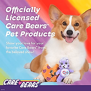 Care Bear for Pets 2PC Set Share Bear Squeaker Flattie Plush Dog Toy With Crinkle Texture Cookie, 4" Small Collectible Toy (FF20238)