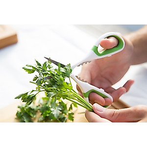 ZYLISS Herb Scissors - Trimming Weeds and Flower Buds 8.5 x 4.2 x 0.4 inches