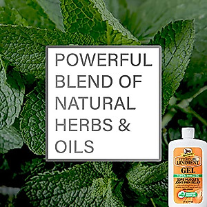 Absorbine Veterinary Liniment Gel, Topical Menthol Analgesic Rub for Sore Muscle, Joint & Arthritis Pain Relief, 12oz Bottle 2-Pack