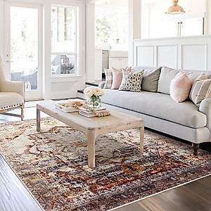 meejou 5x7 Area Rugs 5x7 Rug Non Slip Machine Washable Rugs Low-Pile Floor Carpet No Shedding Area Rugs for Living Room Bedroom Dining Room Kitchen Nursery Indoor