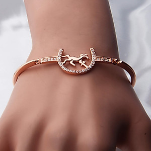 FEELMEM Elegant Pave Cubic Zirconia Lucky Horseshoe with Horse Charm Bangle Bracelet/Necklace Horse Shoe Lover Jewelry for Women (BC)
