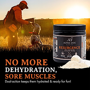 Resurgence Dog Electrolytes by Alpha Dog Nutrition | Promote Dog Hydration, Increase Stamina, and Boost Recovery | Electrolyte Water Additive or Food Topper to Prevent Dehydration with Beef Flavoring