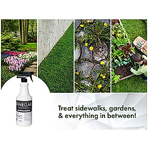 Energen Carolina LLC 579 Vinegar Weed & Grass Killer, Approved for Organic Production, Pet Safe, Glyphosate Free Herbicide, Quart, 1, Light Yellow