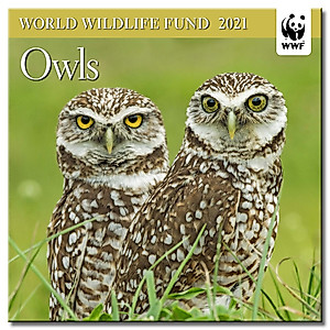 WWF Owls Mini Wall Calendar 2021, 7" x 7"