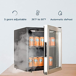 Advanics 60 Can Drink Fridge with Glass Door
