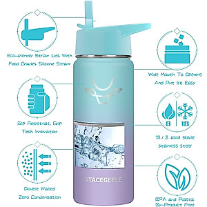 STACEGEELE Insulated Vacuum Water Bottle for Kids with Straw Lid Stainless Steel Flask Thermos for Boys and Girls Leak Proof Lightweight Eco Friendly 18oz(550ml),Springbank