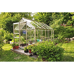 T.R.U. DC-PEF06P White Double Coated Window Glazing Tape Weather Resistant: Glass Bonding, Panel Installation, Gap Filling, Insulated Casements, and More: 1/16 in. Thick x 3/8 in. Wide x 150 ft.