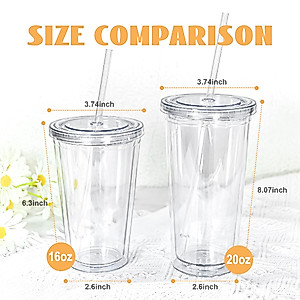 sweet grain Acrylic Tumbler with Lid and Straw 20oz Double Wall Plastic Insulated Tumblers Set of 4, Reusable Large Iced Coffee Tumbler for Snow Globe Glitter DIY