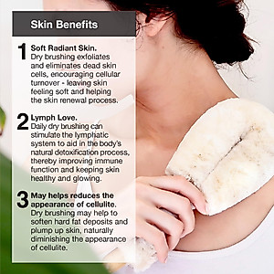 Ginger Chi Dry Brush for Skin, Dry Brushes for Body - Natural Bristle Brush for Dry Brushing Skin (Sisal Dry Brush)