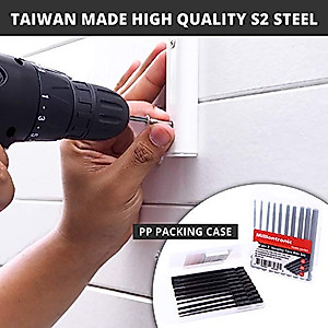 10-Piece Impact Rated 3" Security Torx Bit Set | Temper Proof, Advanced Heat Treatment, Magnetized (S2 Steel w/MnPO COATING, 3")