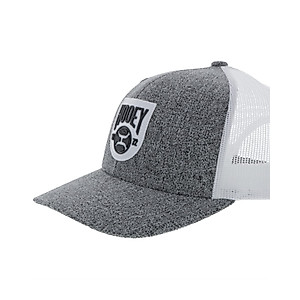 HOOEY Men's Bronx Adjustable Snapback Mesh Trucker Back Hat (Grey)