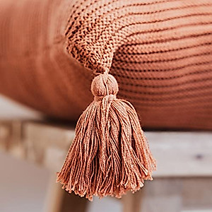 Lumi Living 100% Soft Cotton Raised Stripes Textured Rib Knit Throw Pillow Cover with Tassels (20x20, Rust)