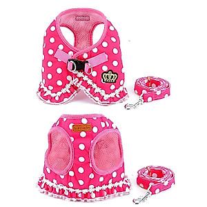 BARKLESS Cute Small Dog Harness, Ladies Polka Dots Dog Vest Harness Set with Pink Leash and Bowknot Collar, 3 in 1 Girl Style Vest Harness Set for Puppy and Cat (XL, Pink)