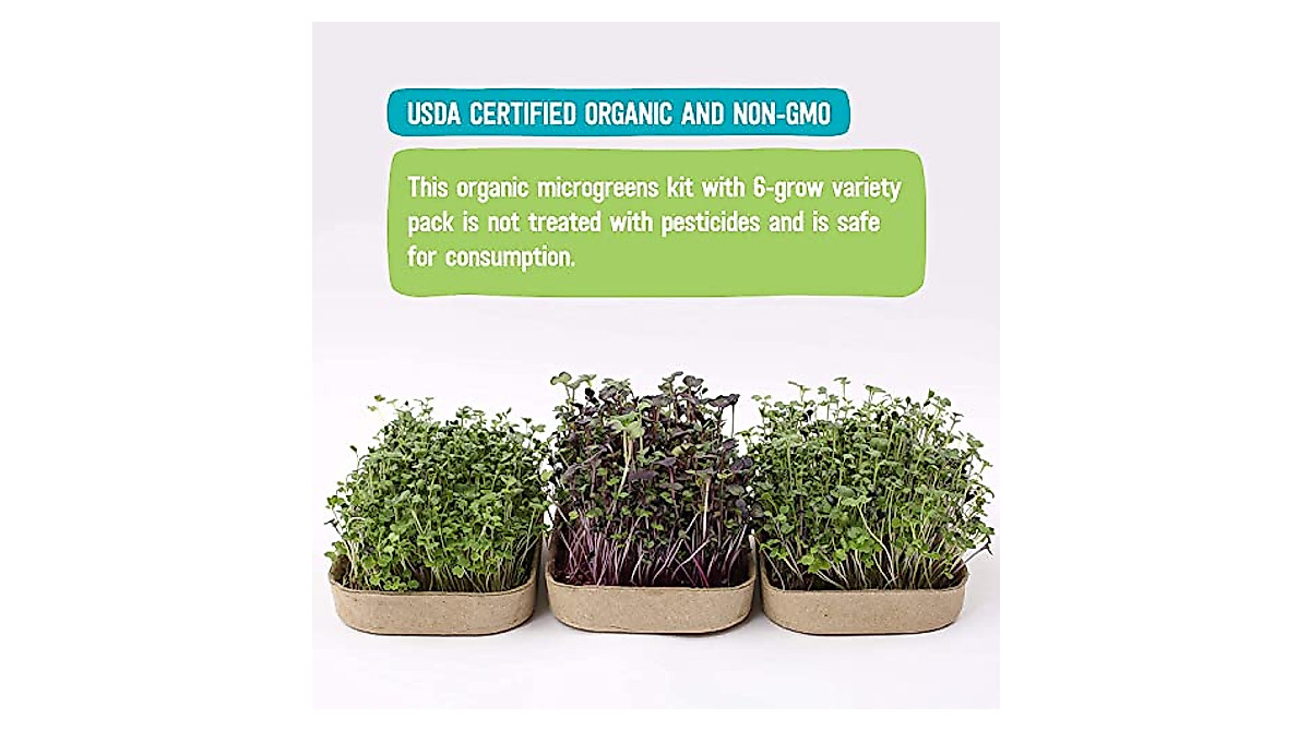 Back to the Roots Microgreen Grow Kit - Organic Variety Pack