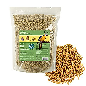 Hana Panda 100% Natural Dried mealworms High Protein Mealworms for Wild Birds, Chicken Treats, Fish & Reptiles,Hamsters and Hedgehogs All Natural Animal Feed