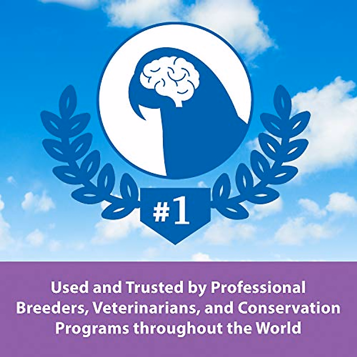 Kaytee Exact Handfeeding - Baby Bird 18 oz, Instant Formula