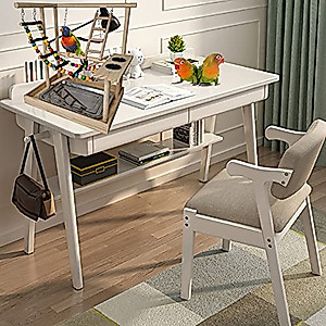 Hamiledyi Parrots Playground, Bird Play Gym Wood Perch Stand Colours Climb Ladders Swing Chewing Toys with Parakeet Feeding Cups Exercise Activity Center for Conure Cockatiel Lovebirds(Include a Tray)