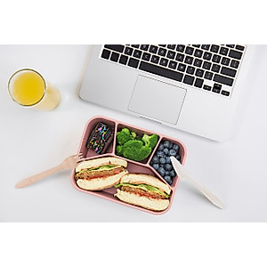 VitalityEXO Eco Friendly 4 Compartment Silicone Lunch Box for Adults and Kids Microwave Dishwasher and Freezer Safe with Separate Compartments Leakproof BPA-Free PVC-Free Bento Box (DARK PINK)