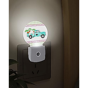 Night Light Plug into Wall, LED Nightlights Easter Truck with Carrot Bunny Green Plaid Pattern Small Nightlight Auto Dusk-to-Dawn Sensor Lamp LED Night Lights for Kid's Bedroom, Bathroom