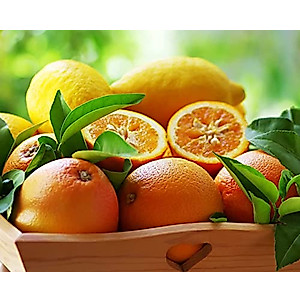 600+ Mix Fruit Seeds Combo Pack - 6 Variety Non-GMO Heirloom and Organic, Strawberry Seeds Raspberry Seeds Mulberry Seeds Apple Seeds Orange Seeds Blueberry Seeds for Planting Home Garden