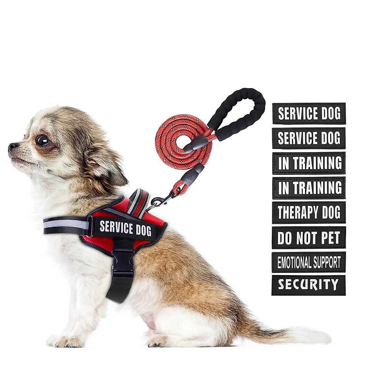 Service Dog Vest Harness and Leash Set, Animire in Training Dog Harness with 10 Dog Patches, Reflective Dog Leash with Soft Padded Handle for Small, Medium, Large, and Extra-Large Dogs (RED,XS)