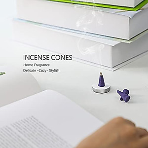 Incense Cones, Assorted Scented Incense Cones with Holder, Incense Gift Set for Mothers Day, Rose, Sage, Lavender, Violet, Cinnamon, Eucalyptus, Sandalwood, Rain Forest, 120 Cones Total