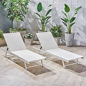 Christopher Knight Home Salton Outdoor Aluminum and Mesh Chaise Lounge Set, 2-Pcs Set, White / White