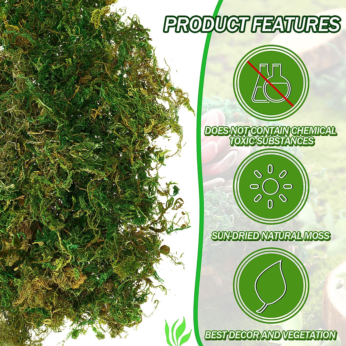 28 Oz Natural Green Sheet Moss Preserved Moss Terrarium Moss Green Moss Decor for Plant Crafts Flower Grass Floral Moss for Garden Lawn Crafts Wedding Decor Flower Filler