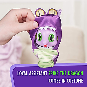 Hasbro My Little Pony Twilight Sparkle and Spike the Dragon Collector's Series Figures – Star Swirl the Bearded Outfit and Spell Book Package for Display