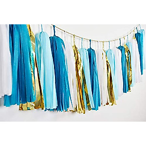 Hellensp 20 PCS Blue Tissue Tassels Garland Table Decor Party Tassel Garland Banner for Birthday,Baby Shower,Wedding,Anniversary,DIY Kits