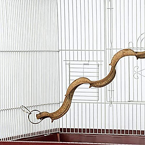 Prevue Pet Products BPV62396 Wacky Wood Lima Root Bird Perch Toys, 24-Inch, Brown