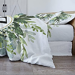 Queen Duvet Cover Set - Eucalyptus Leaves 4 Pcs Comforter Cover Bedding Sets with Zipper Closure, Z Monogram Letter Watercolor Teal Botanical Microfiber Bed Sheet Soft Quilt Cover with 2 Pillow Shams