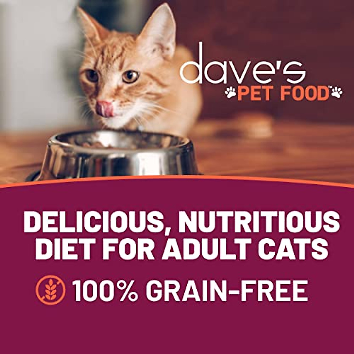Dave's Pet Food Grain Free Wet Cat Food (Tuna & Salmon Dinner in Aspic), Naturally Healthy Canned Cat Food, Added Vitamins & Minerals, Wheat & Gluten-Free, 5.5 oz (Case of 24)
