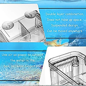 Fortune-star Fish Breeding Box Aquarium Fish Tank Hatchery Incubator Breeder Box Fish Breeding Tanks Acrylic White Breeder Isolation Divider Hatching Boxes with Suction Cups