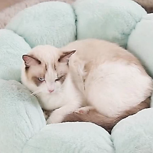 Plush Pet Bed Warm Calming Donut Cat and Dog Bed Pet Cushion Bed Anti-Anxiety Dog Bed Flower Shape Cat Bed Green Pink L