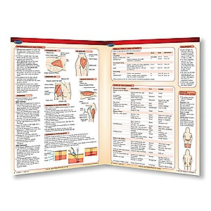 Nursing II Guide - Medical Quick Reference Guide by Permacharts